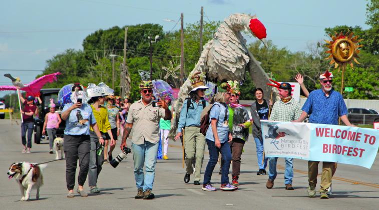 Birdfest connects people, birds | The Bay City Sentinel