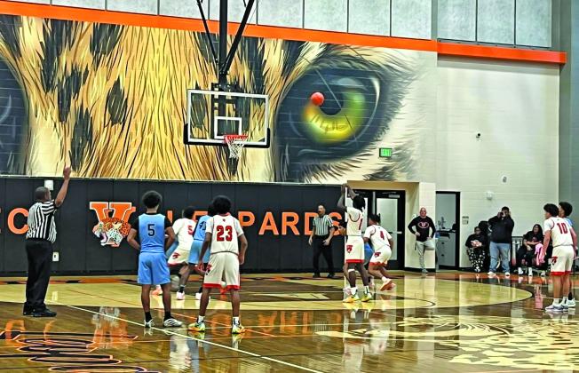 The Bay City Sentinel